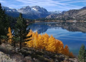 The Fall Line Up | Random Thoughts and Meaningless Musings